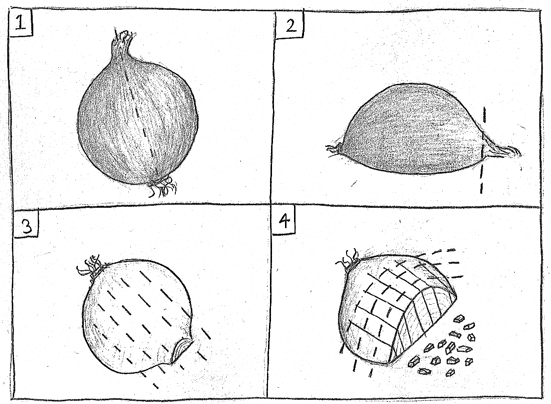 How to cut an onion properly – Kel's Kitchen